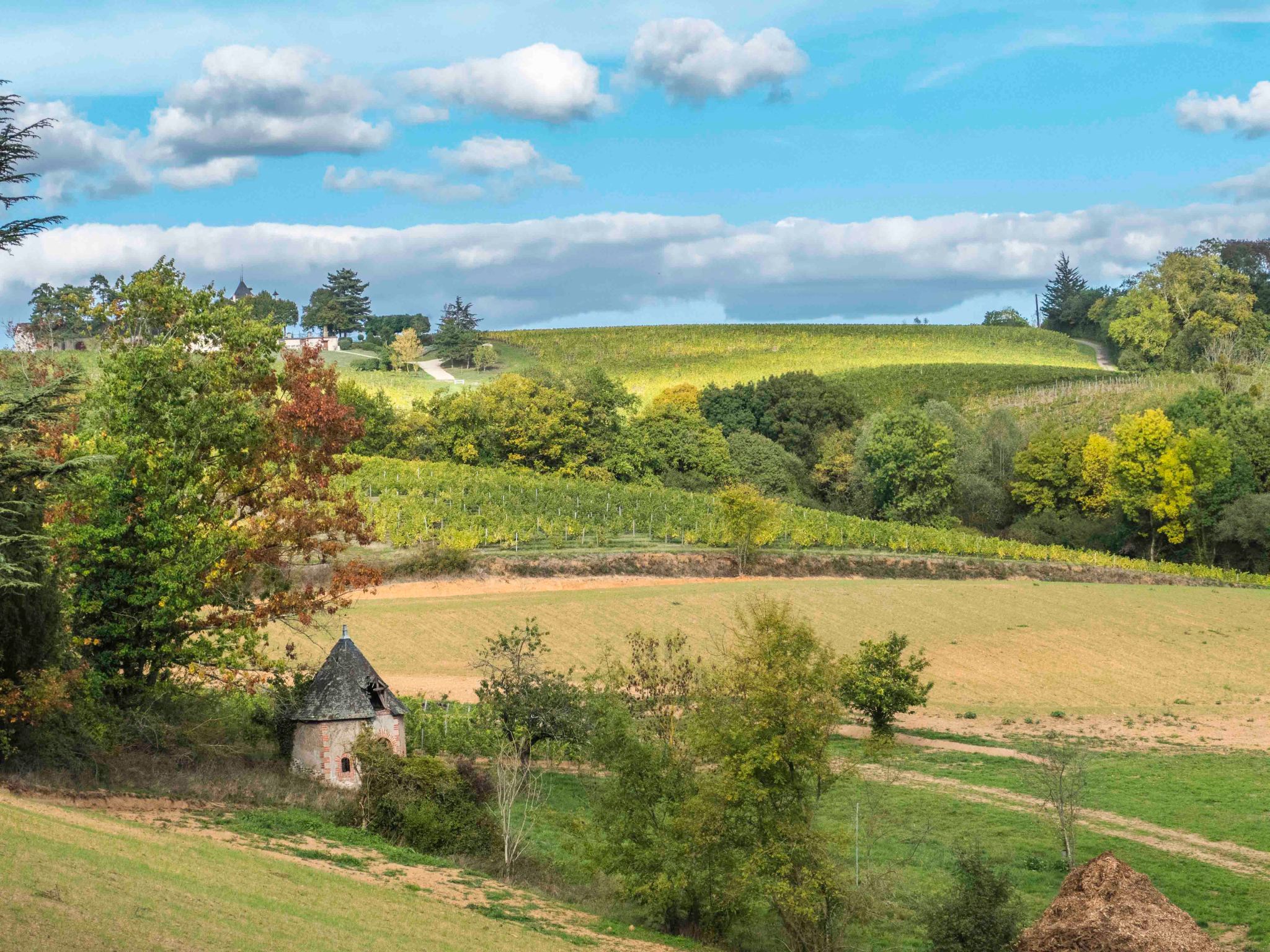 Vlaamse wijnbouwster in de Loire-streek: Kathleen Van den Berghe ...